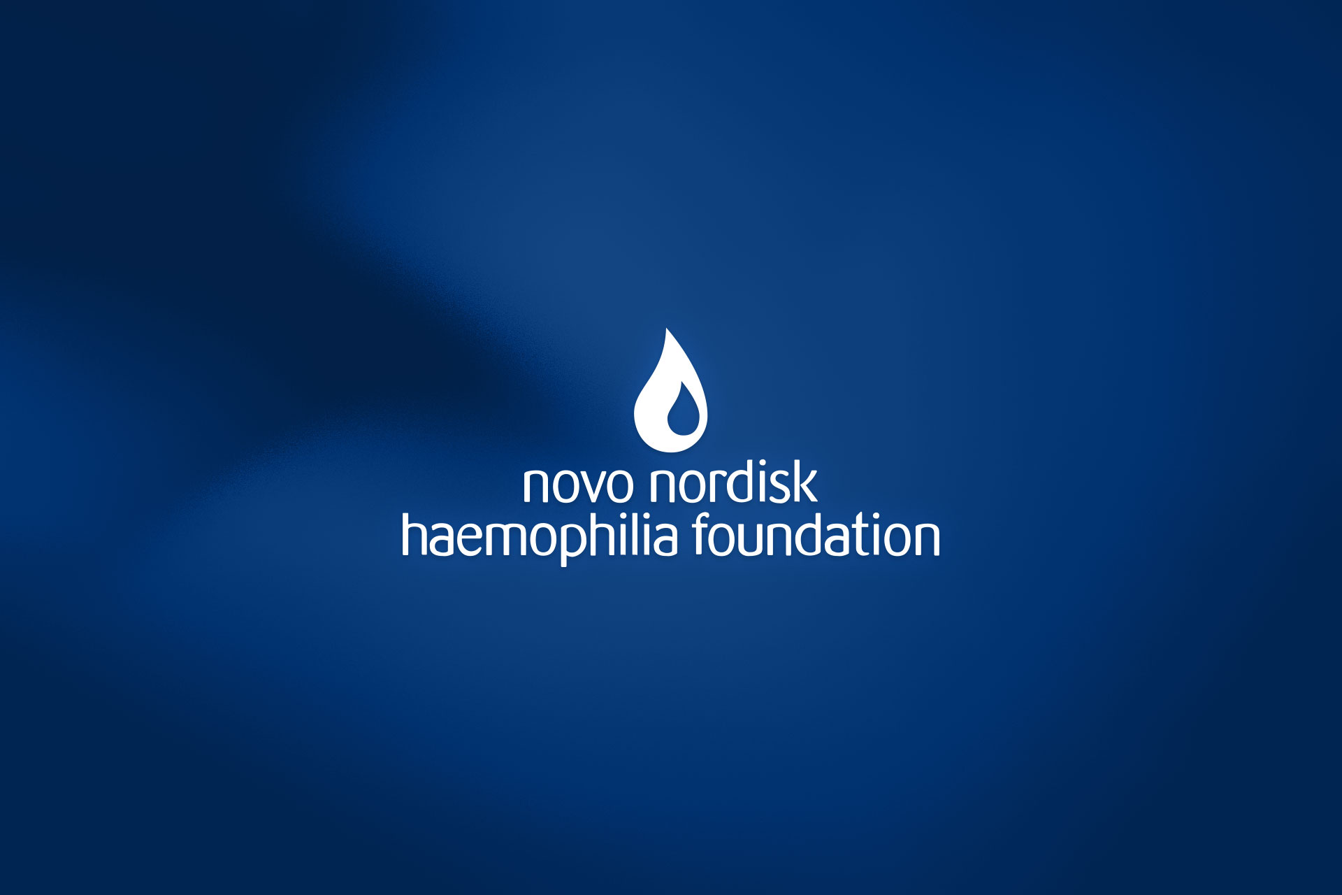 NNHF Grantee Perception Report 2024: Building on our progress – Novo ...